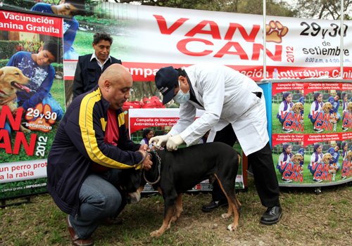 Conozca las zonas del Perú que son más afectadas por la rabia | RPP ...