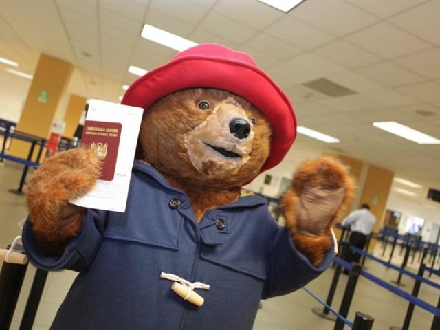 VIDEO: Mira al oso Paddington en su recorrido por Perú | RPP Noticias